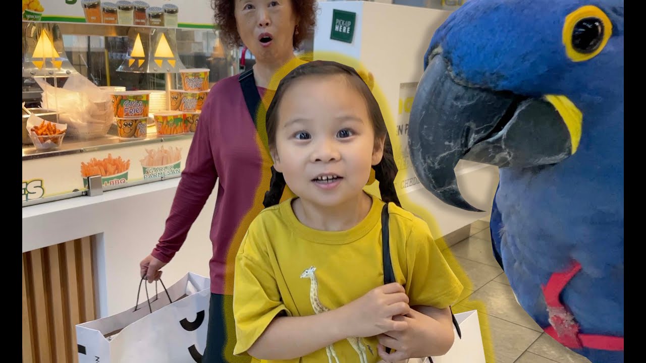 INCREDIBLY CUTE GIRL Touch my BIRD and can’t stop to stare at my Parrot ...