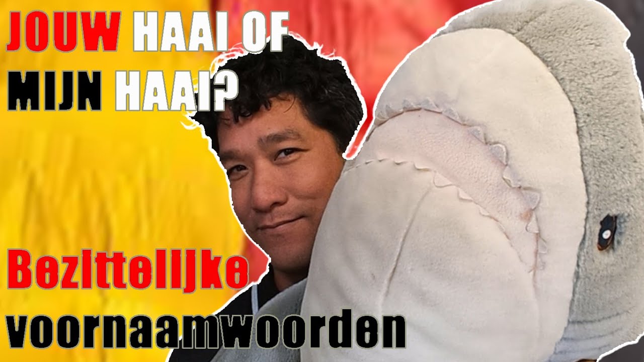 Dit is MIJN video (Duits uitleg bezittelijk voornaamwoord ...