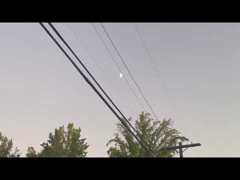 Lydia Kaseta - i’m not in love with you