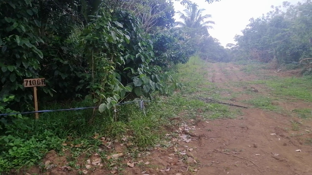 Cavite Philippines Farming