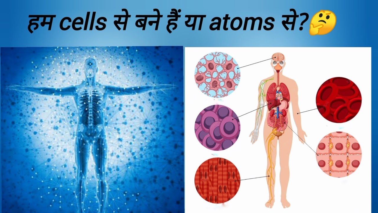 How humans originated on the Earth | atoms से इंसान कैसे बने 🤔🤔 | - YouTube
