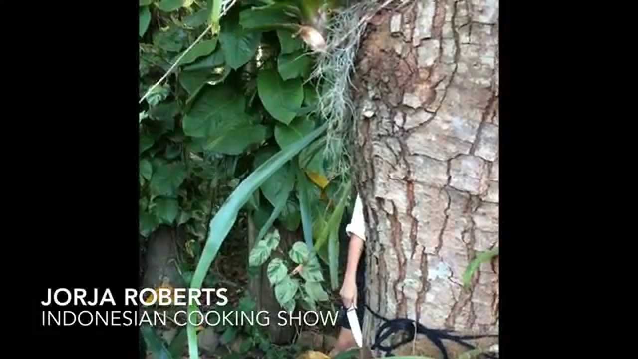 Jorja Roberts Indonesian Cooking Show - YouTube