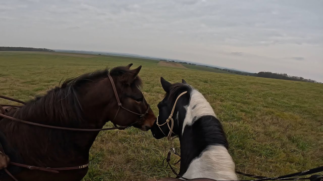 Pětihodinová vyjížďka ~ Monty & Black - YouTube