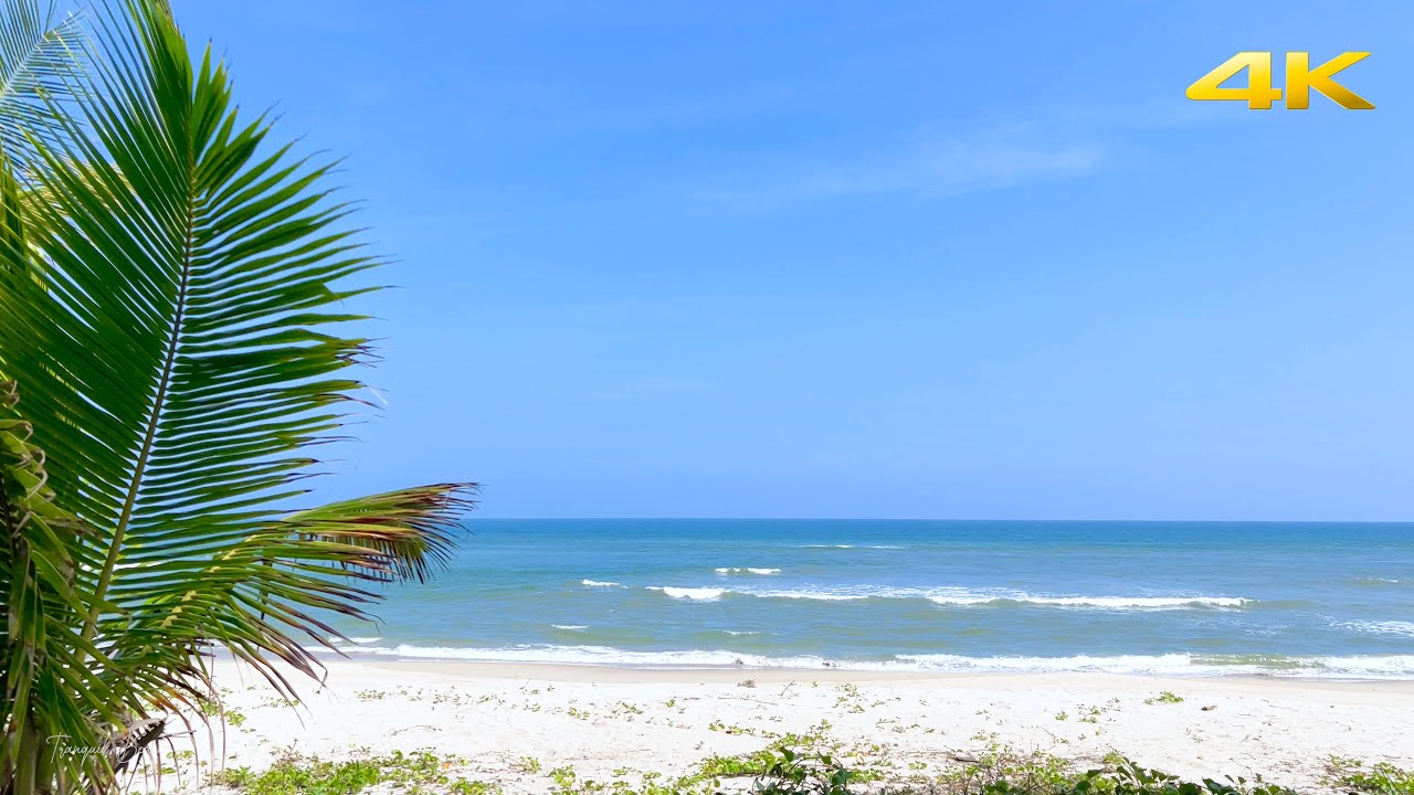 🌴 Ocean Ambience on a Tropical Beach with Soothing Waves & Paradise ...