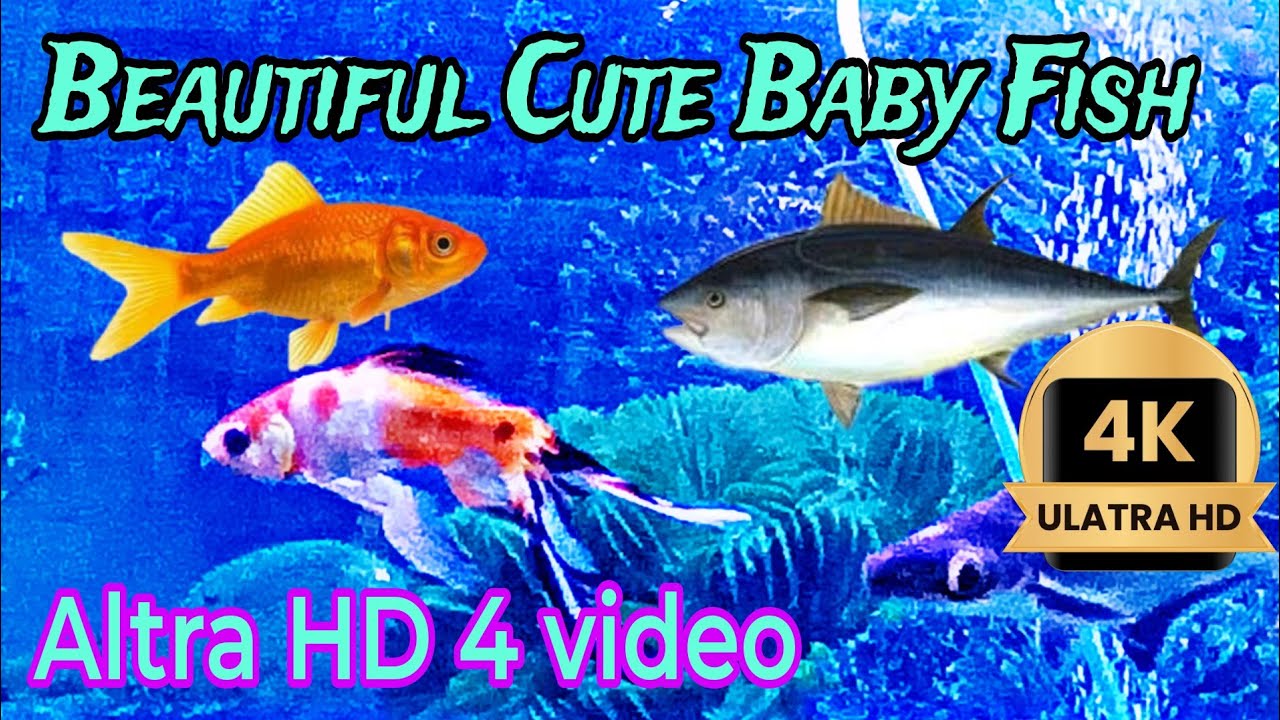 Beautiful Cute Baby Fish IN Aquarium ( altra HD 4 ) सच में बहुत ही ...