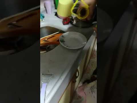 Hakiki bal aldatmacası (kanmayın). Sadece labratuar test edilebilir.
