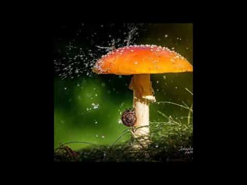 Raining in my heart by Anne Murray - YouTube