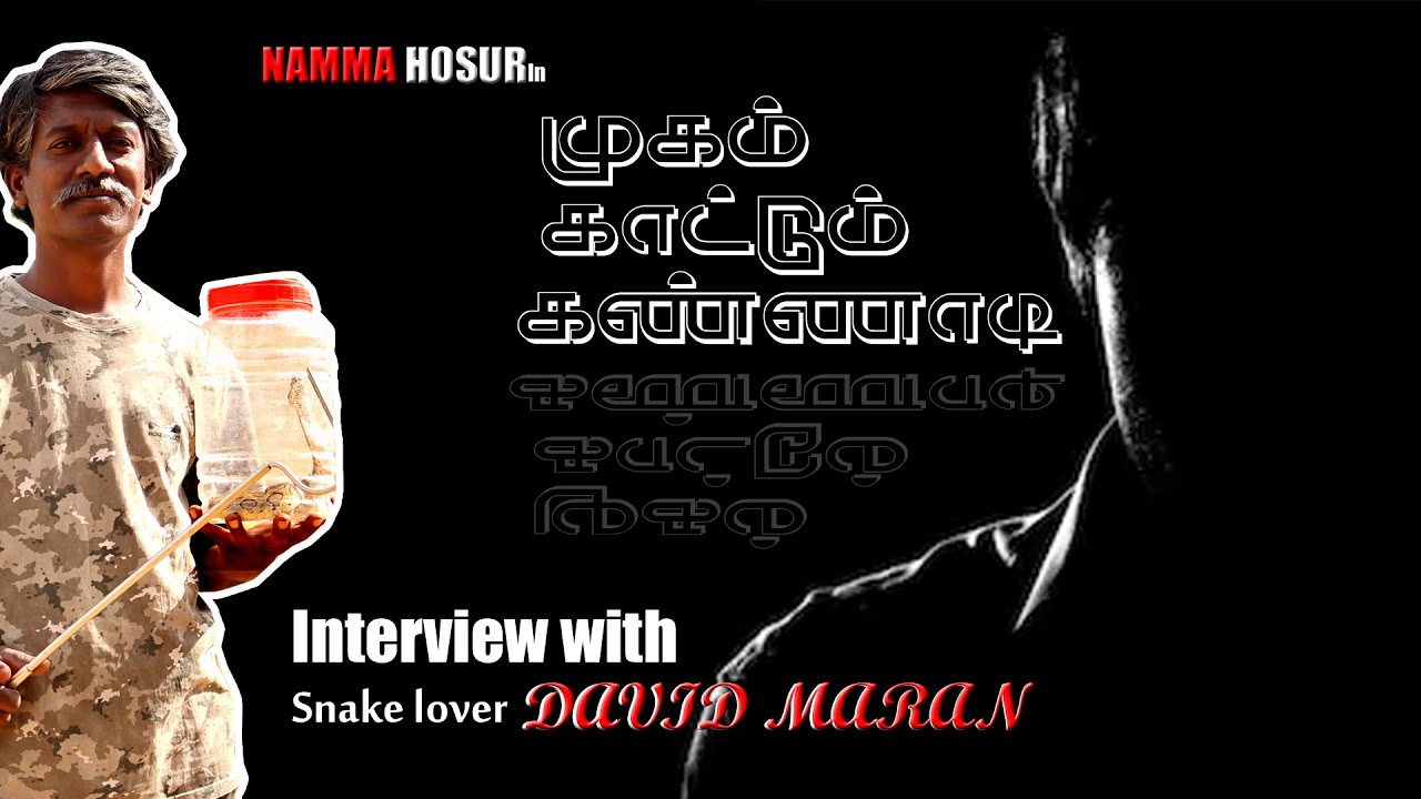 Interview with Snake lover David Maran Promo-1 - YouTube