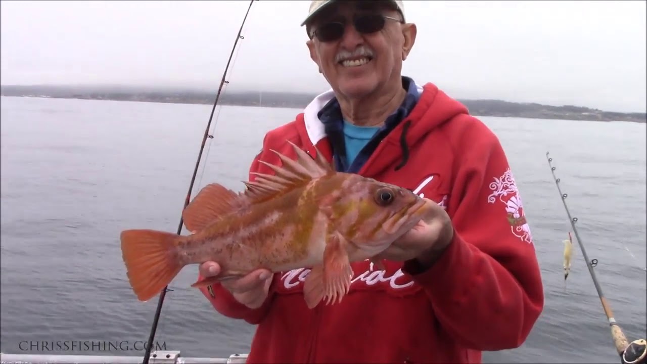 On this day in 2016 Limits of Rock Cod & Limits (63) Ling Cod for 21 ...