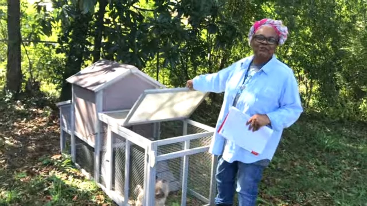GETTING READY FOR CHICKENS / *AITITUVIN CHICKEN COOP - YouTube