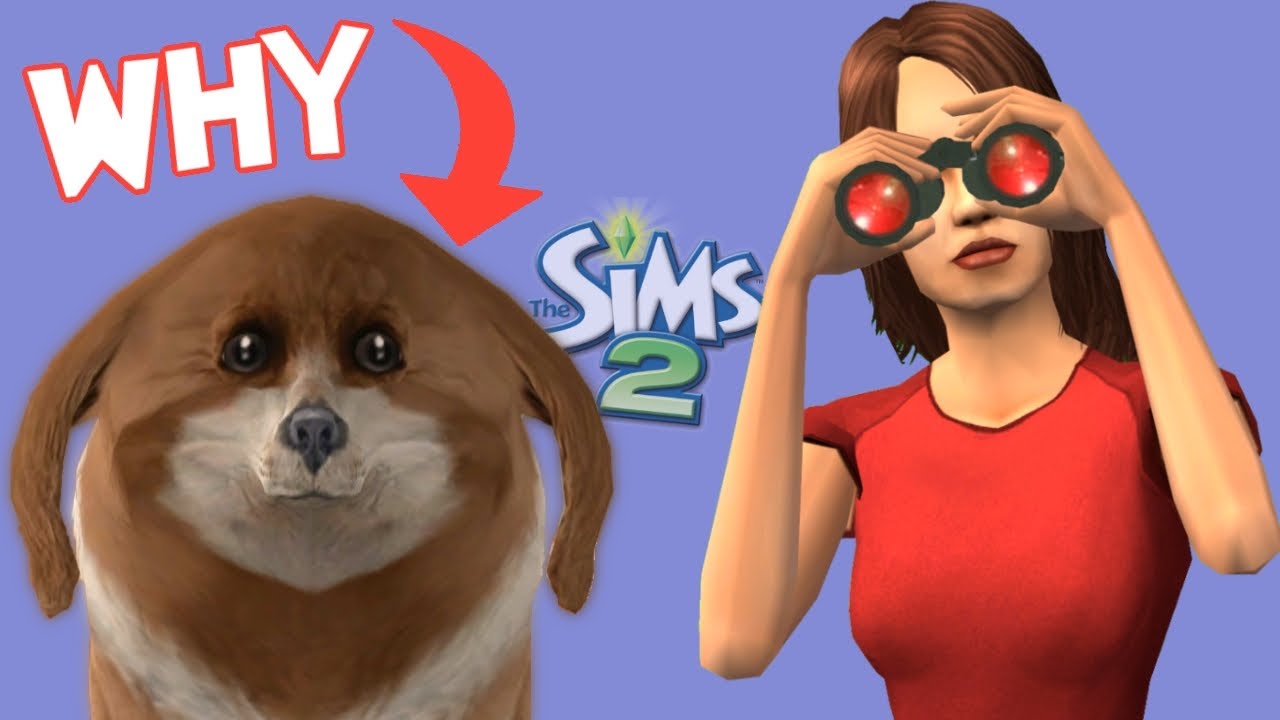 The Sims 2: Dog Genetics Are... Interesting - YouTube