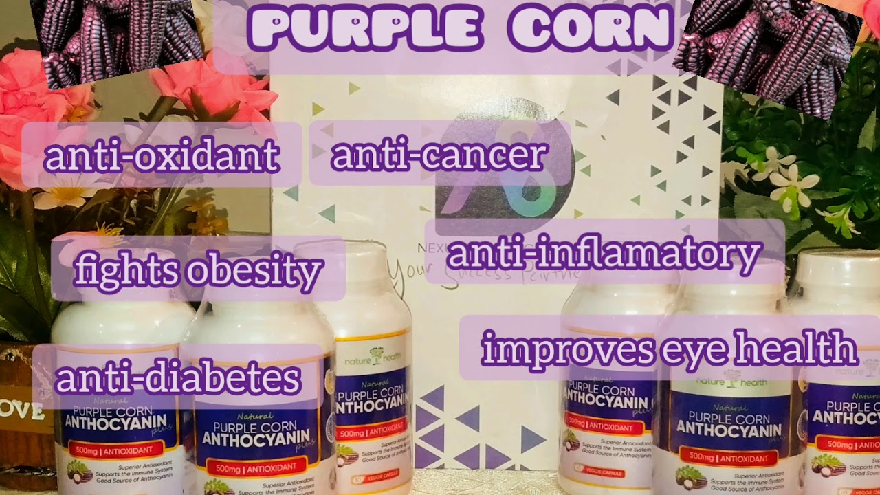 Purple Corn ANTHOCYANIN Capsules-Health benefits and Content ...
