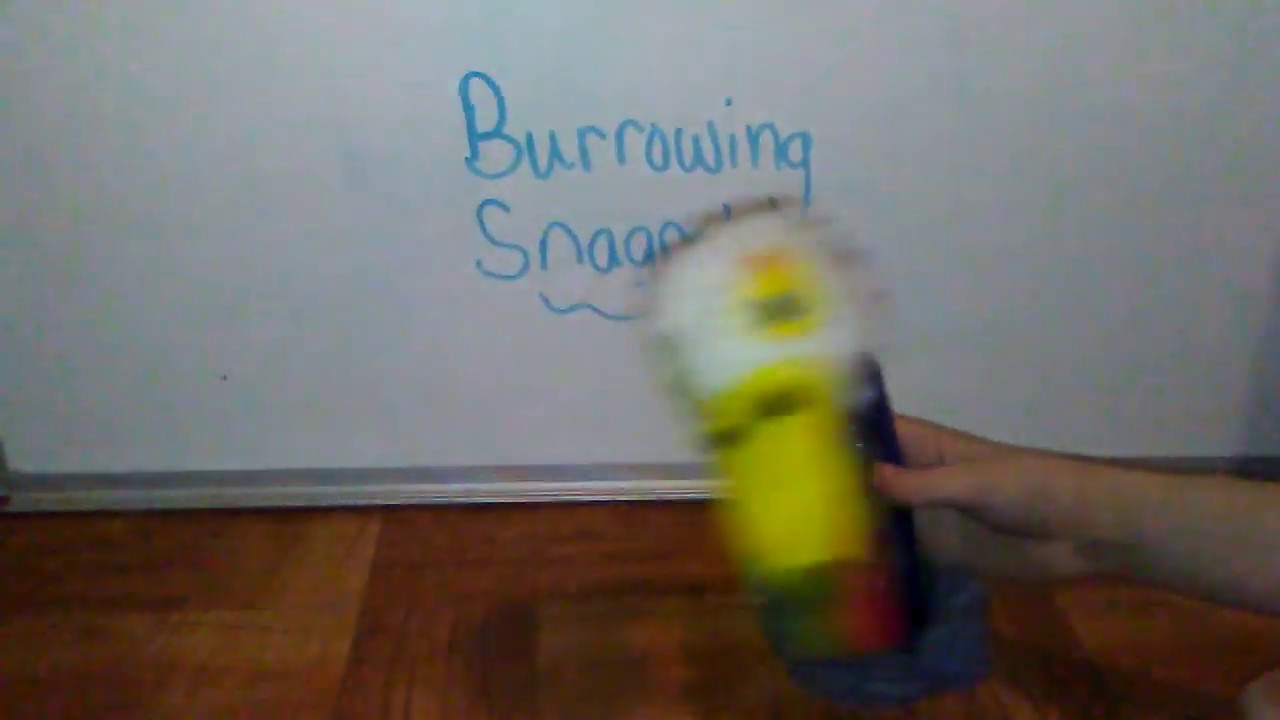Pikmin plush Burrowing Snagret showcase - YouTube