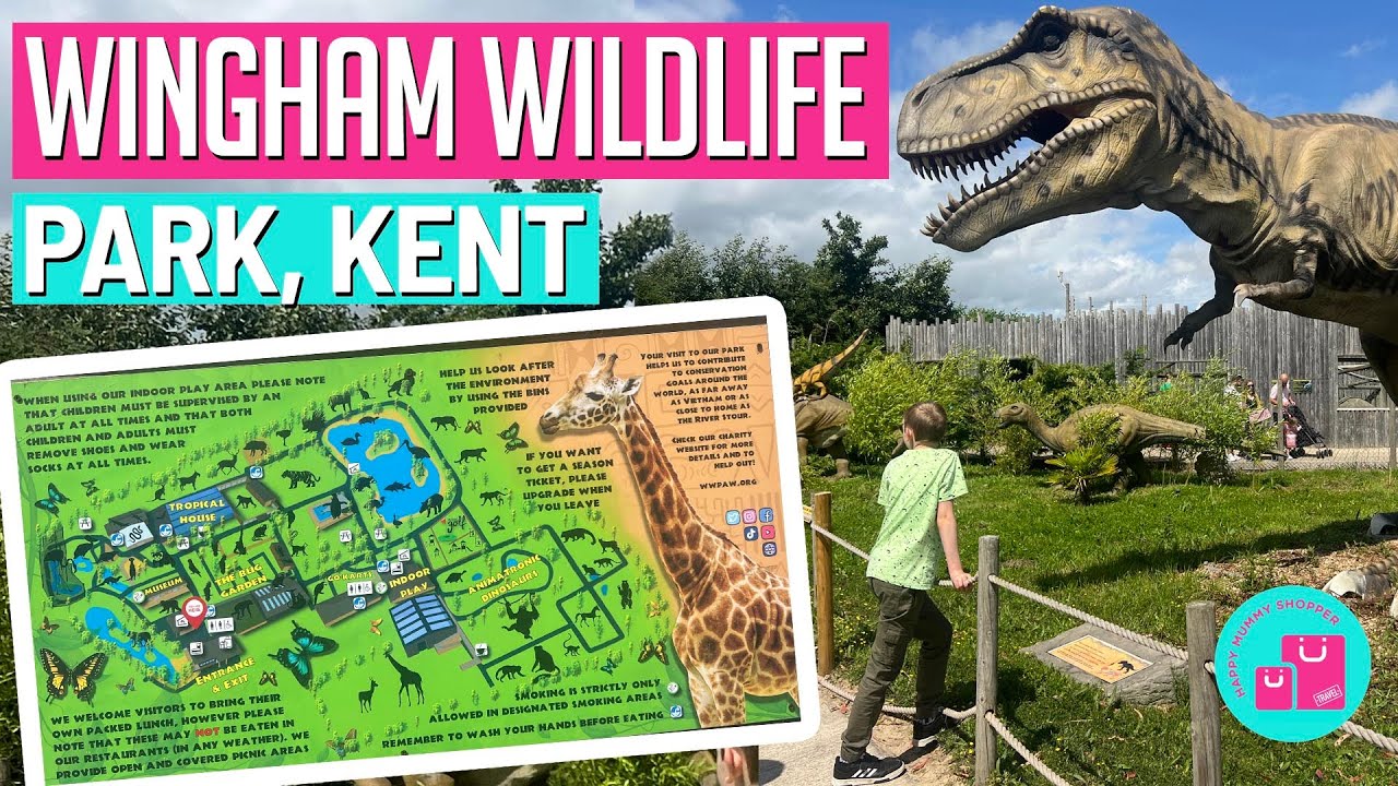 Discover the Thrills: A Wild Day at Wingham Wildlife Park! 🐯🐒 - YouTube