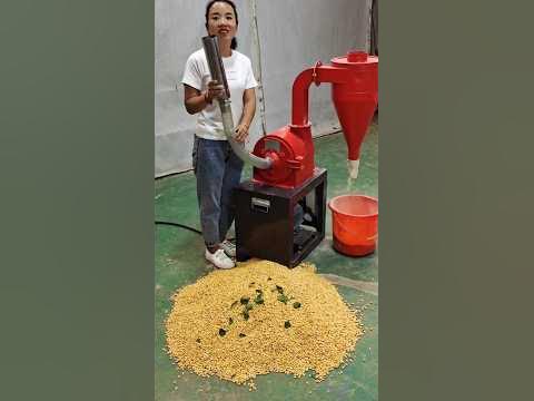Super universal grain grinder The corn kernel enters the machine and ...