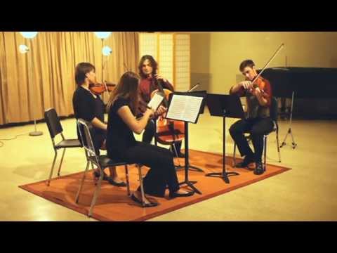 Eleanor Rigby - Manhattan Project String Quartet - YouTube