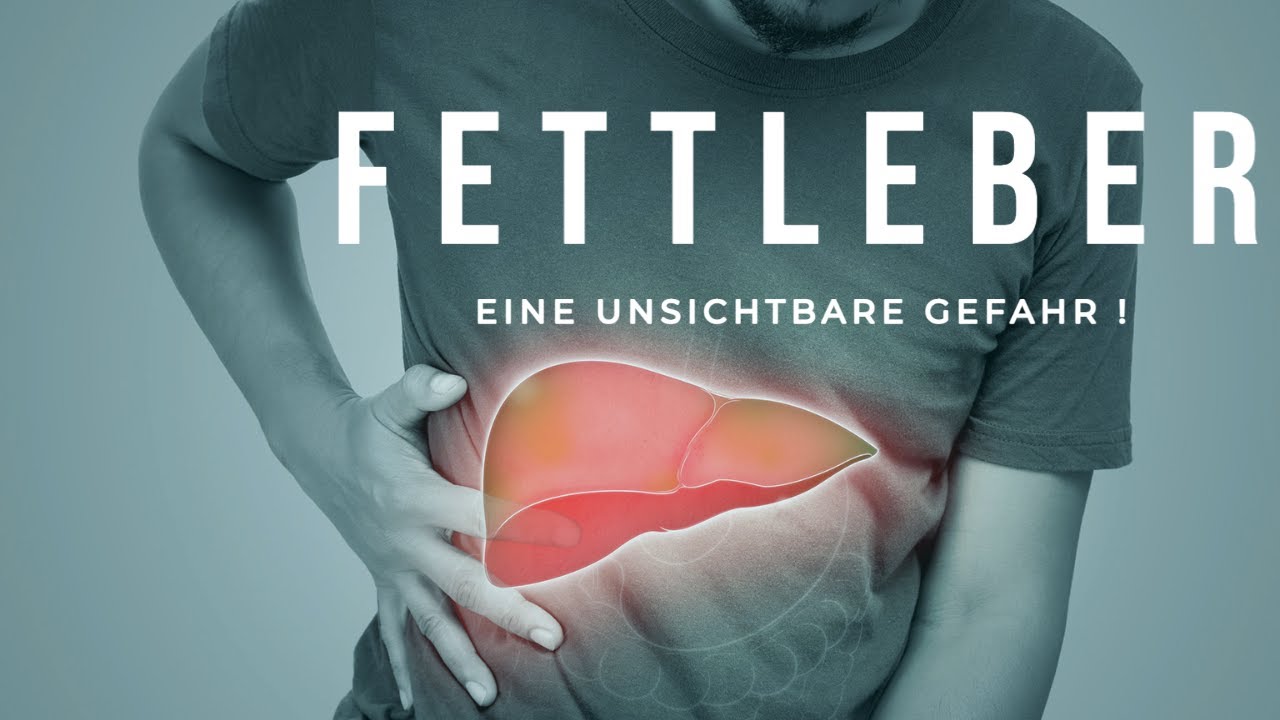 Leberkraft eine starke Hilfe gegen eine Fettleber - YouTube