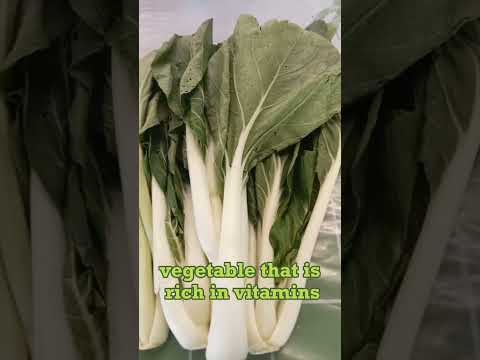 Pechay A Healthy Vegetable #pechay #shorts #vegetables #food #trivia