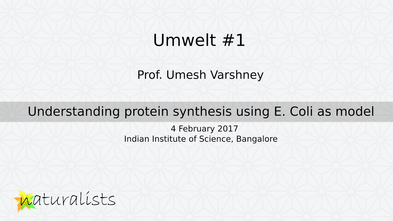Umwelt #1 | Prof. Umesh Varshney | Understanding protein synthesis ...