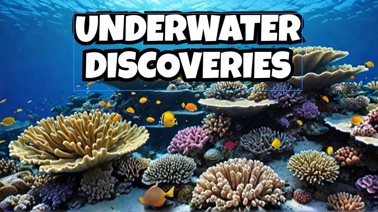 Hidden Wonders of the Ocean Discover Coral Reefs and Marine Life - YouTube