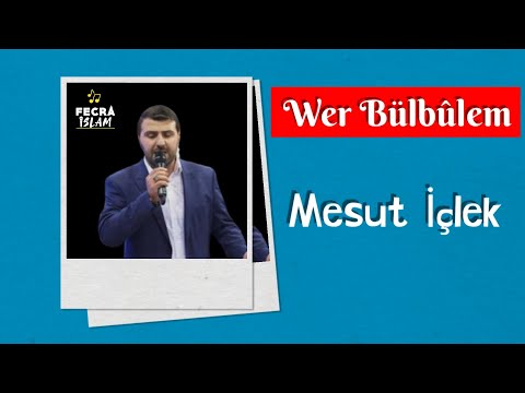 Mesut İçlek | Wer Bülbûlem