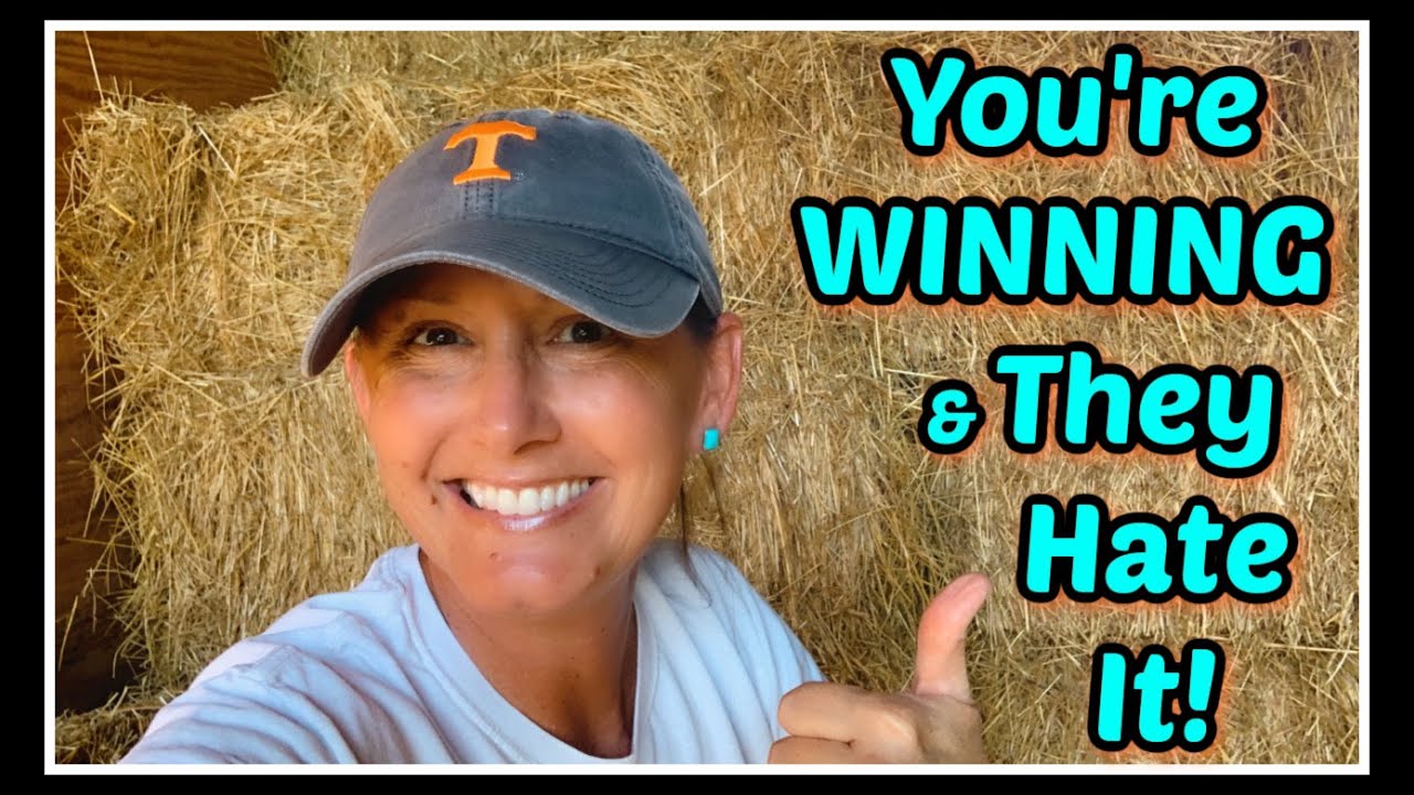 💥You're Winning! Sunday Rant & Review 😊 - YouTube