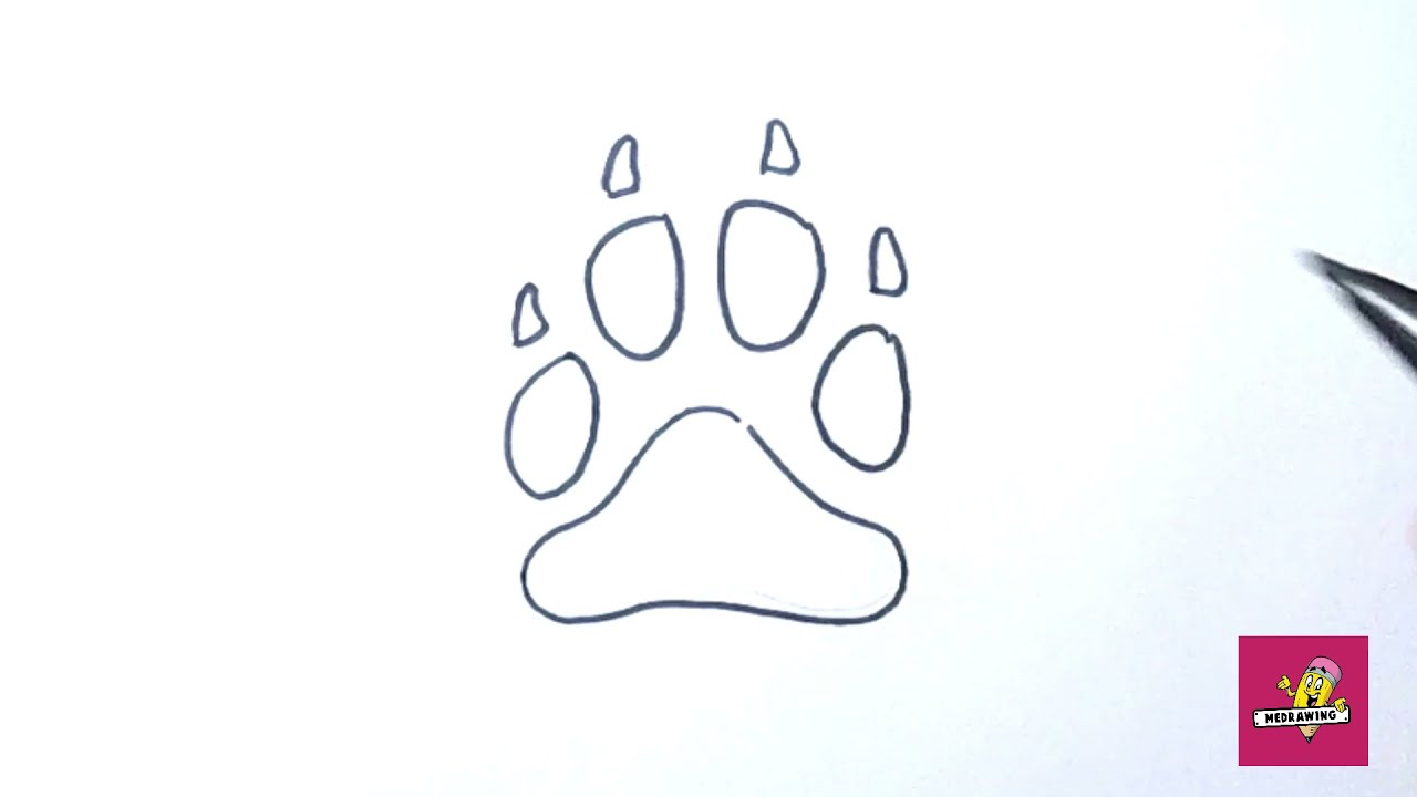 How To Draw A Wolf Paw