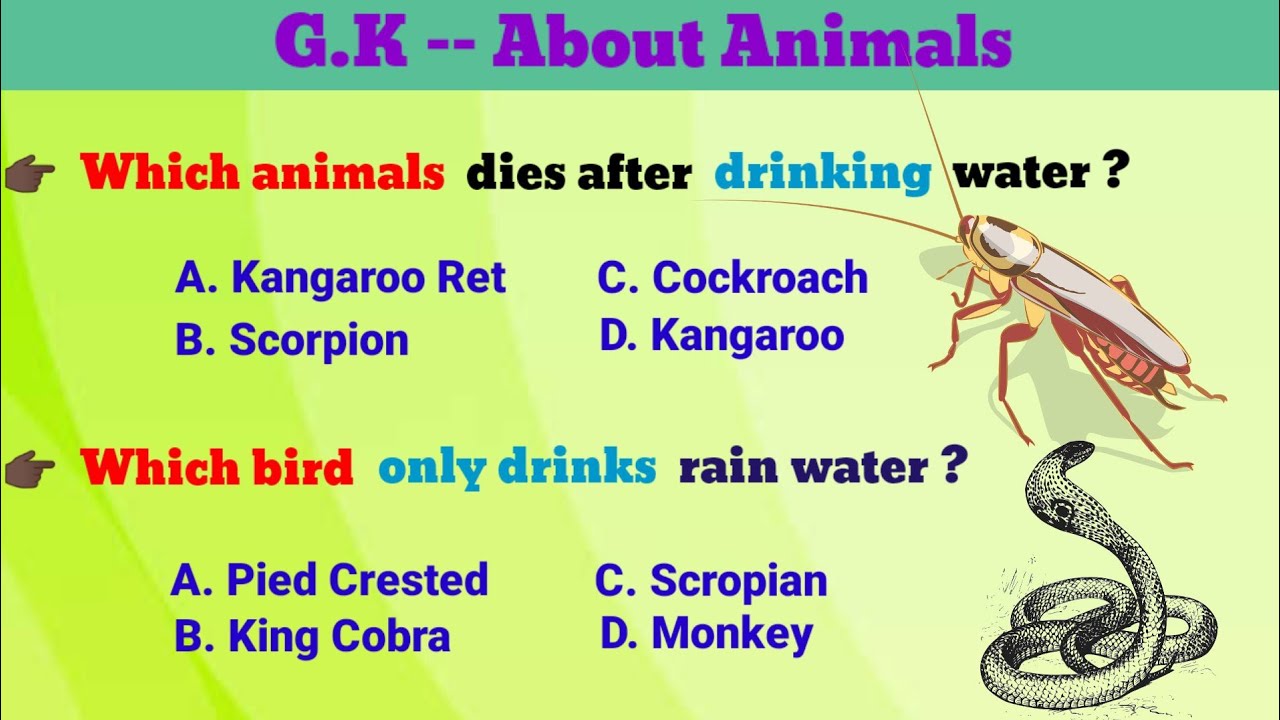 15. Most interesting gk about animal/Animal general knowledge in ...