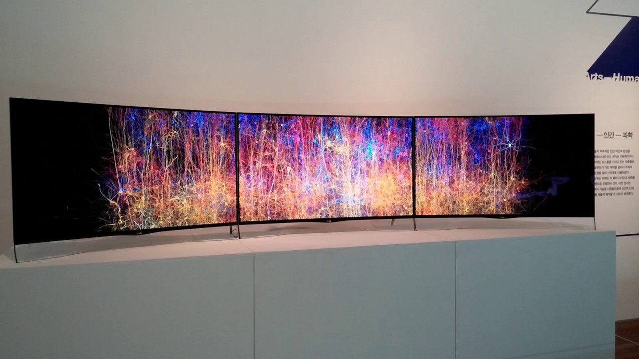 세계최초(World First) LGD, LG Display OLED TV(55FHD)를 이용한 미술 전시회(서울대 미술관 ...