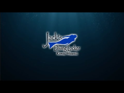 2024 Diving Community Award [Gold Winner]: Jacks Diving Locker - YouTube