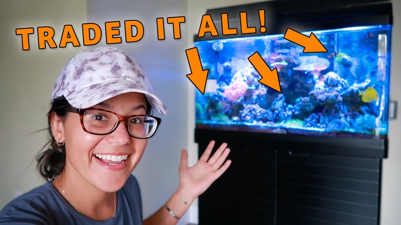 Trading Coral is a MISSION! - YouTube