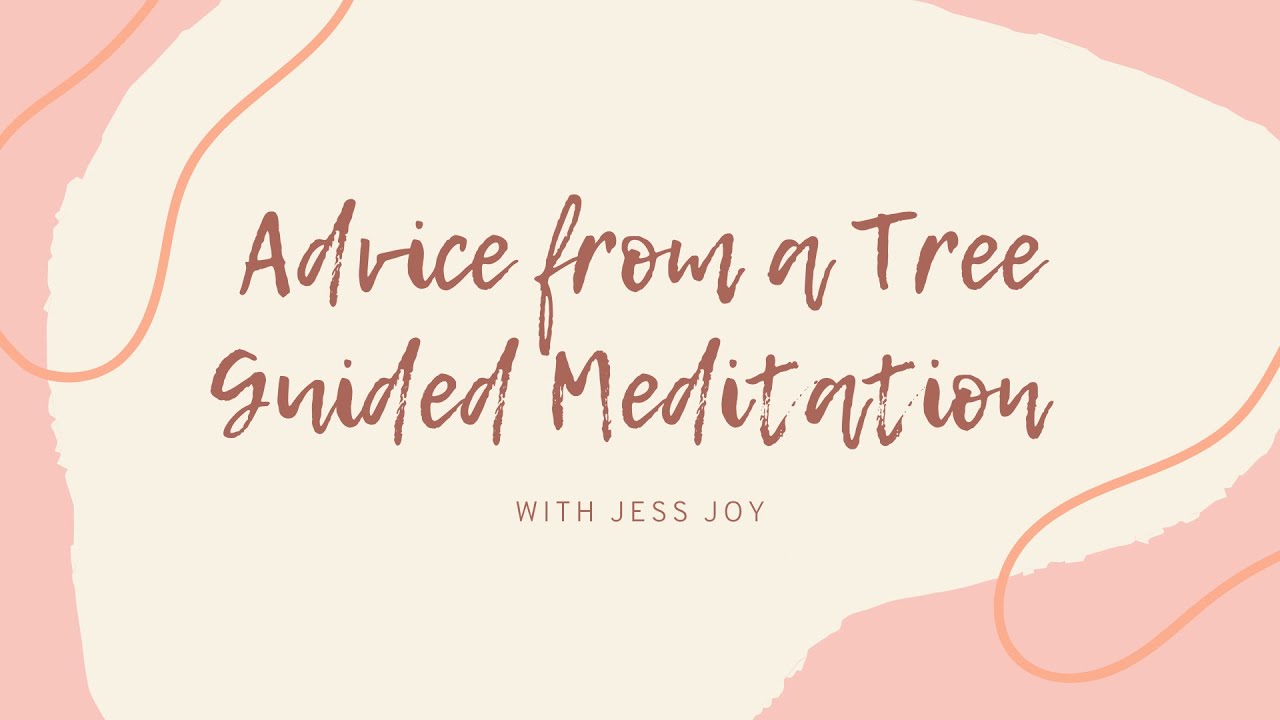 Advice from a Tree Meditation - YouTube