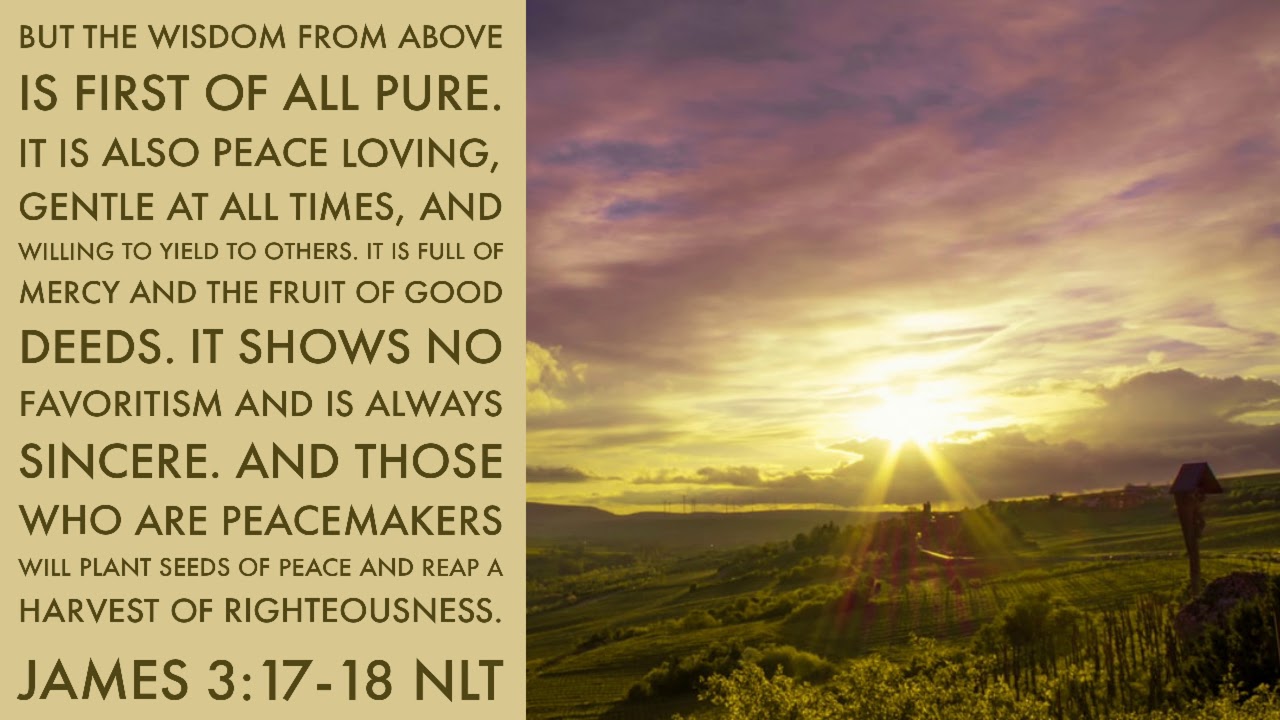 Video Verses James 3 17 18 NLT YouTube
