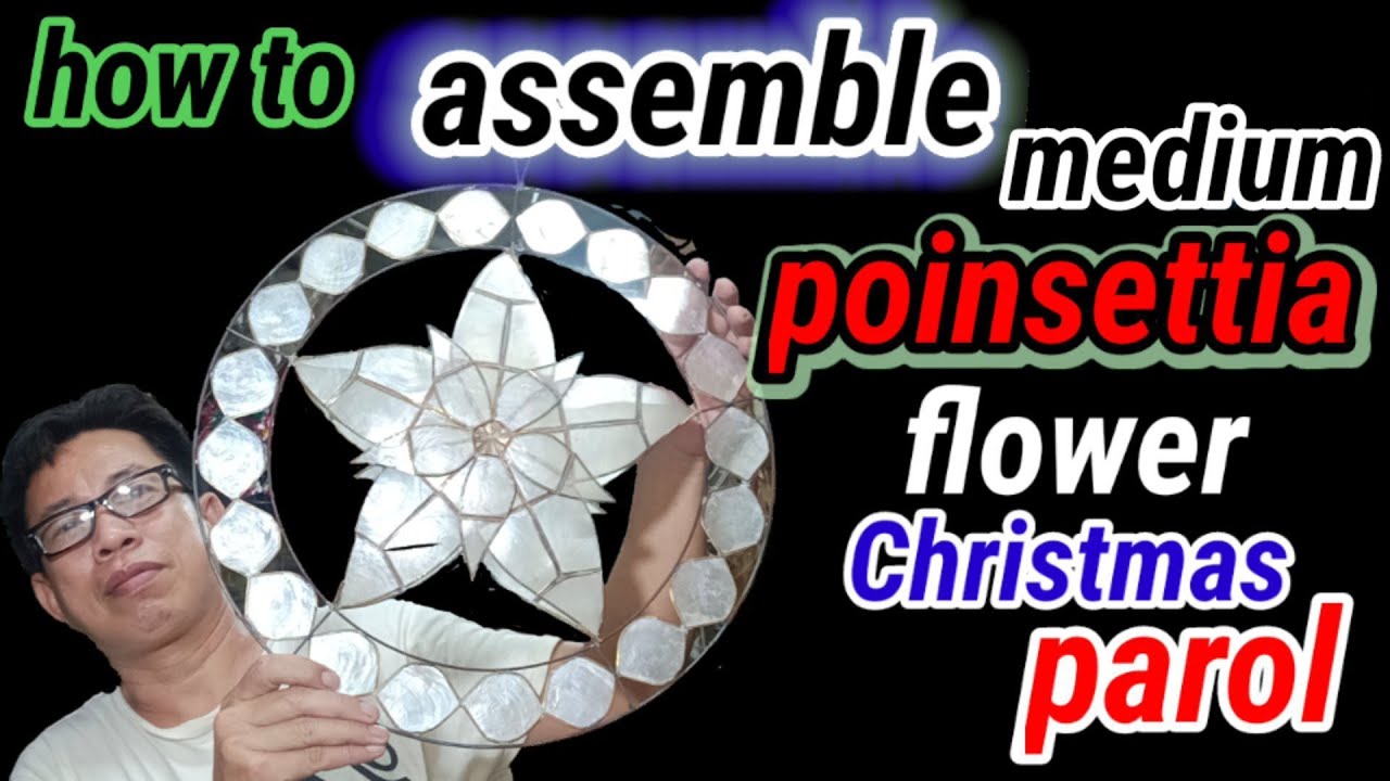 capiz parol, the best ways Assembly of capiz poinsettia flower ...