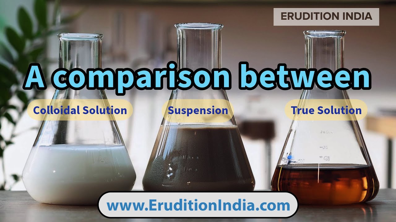 True Solution vs Colloidal Solution vs Suspension - Compared (Junior ...