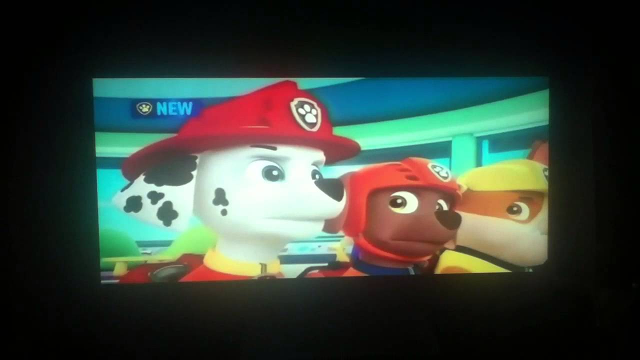Paw Patrol Pups Save A Surprise Promo - YouTube