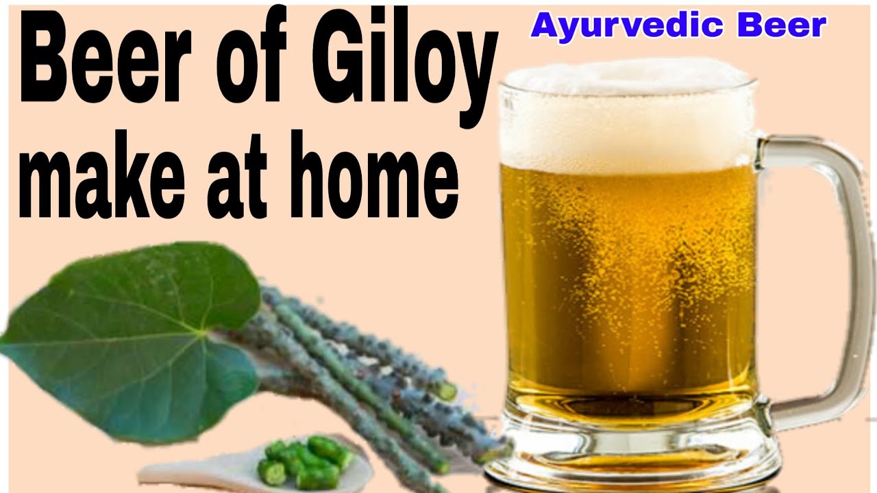 Giloy Beer make at home. Wine & Whiskey recipes - YouTube