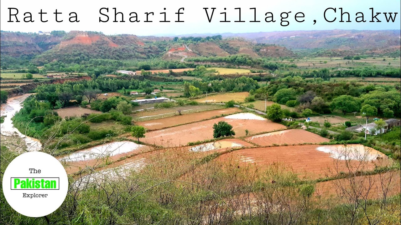 Ratta Sharif Village, Chakwal |Village Life In Pakistan| |Village life ...
