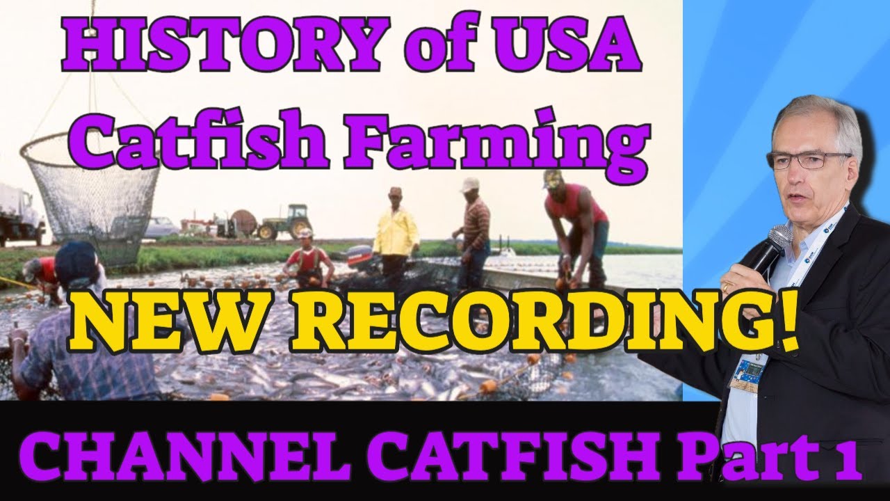 NEW RECORDING ! CHANNEL CATFISH P1 USA Farming History & Status - YouTube