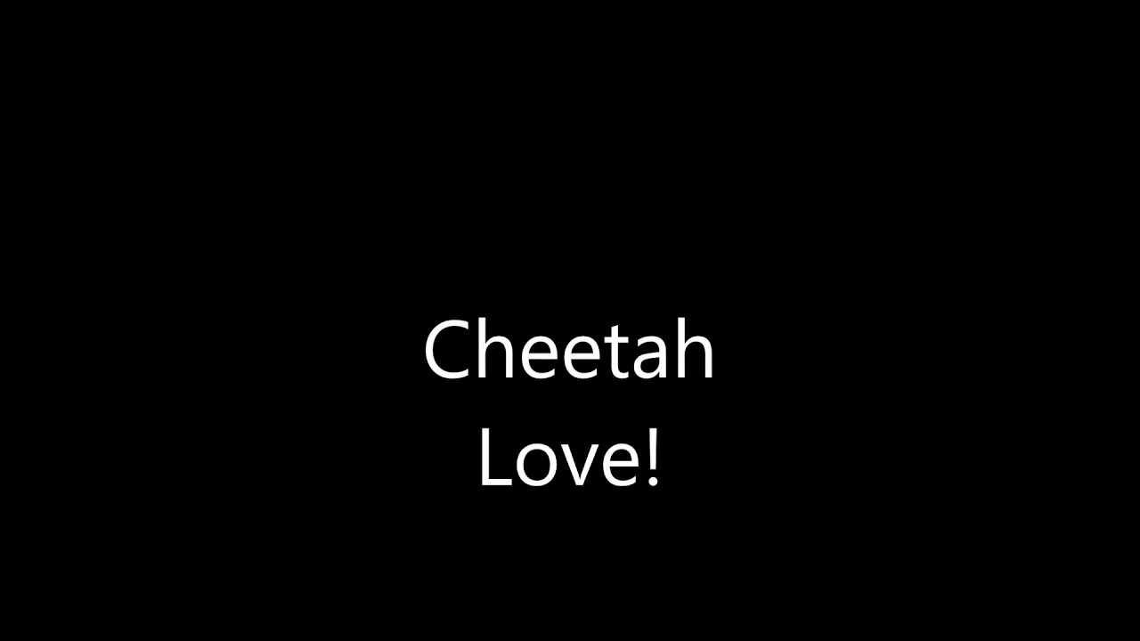 Cheetah Love - YouTube