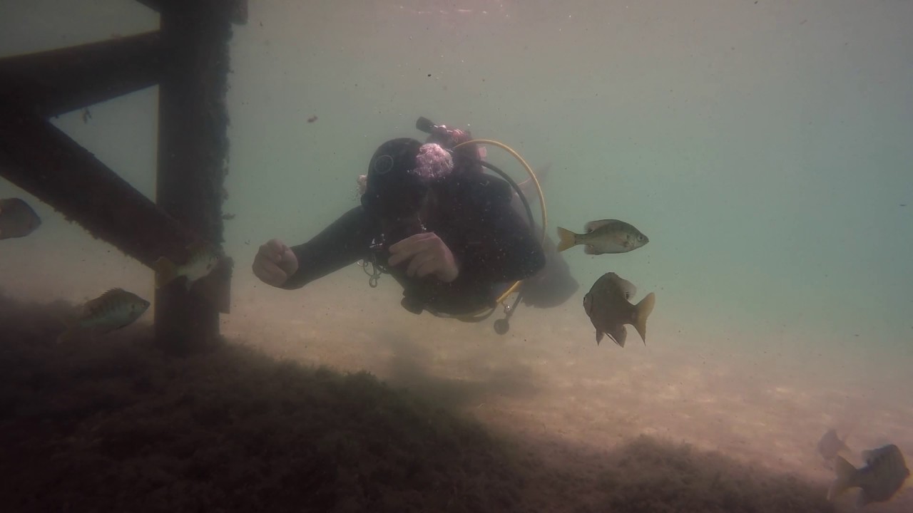 Lake Denton - Swimming With The Fishes - YouTube
