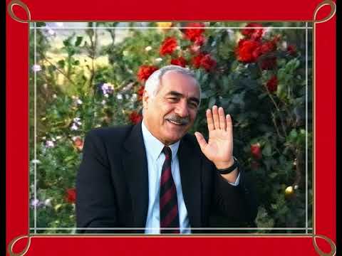 Ali Kaya Dolan Gözler