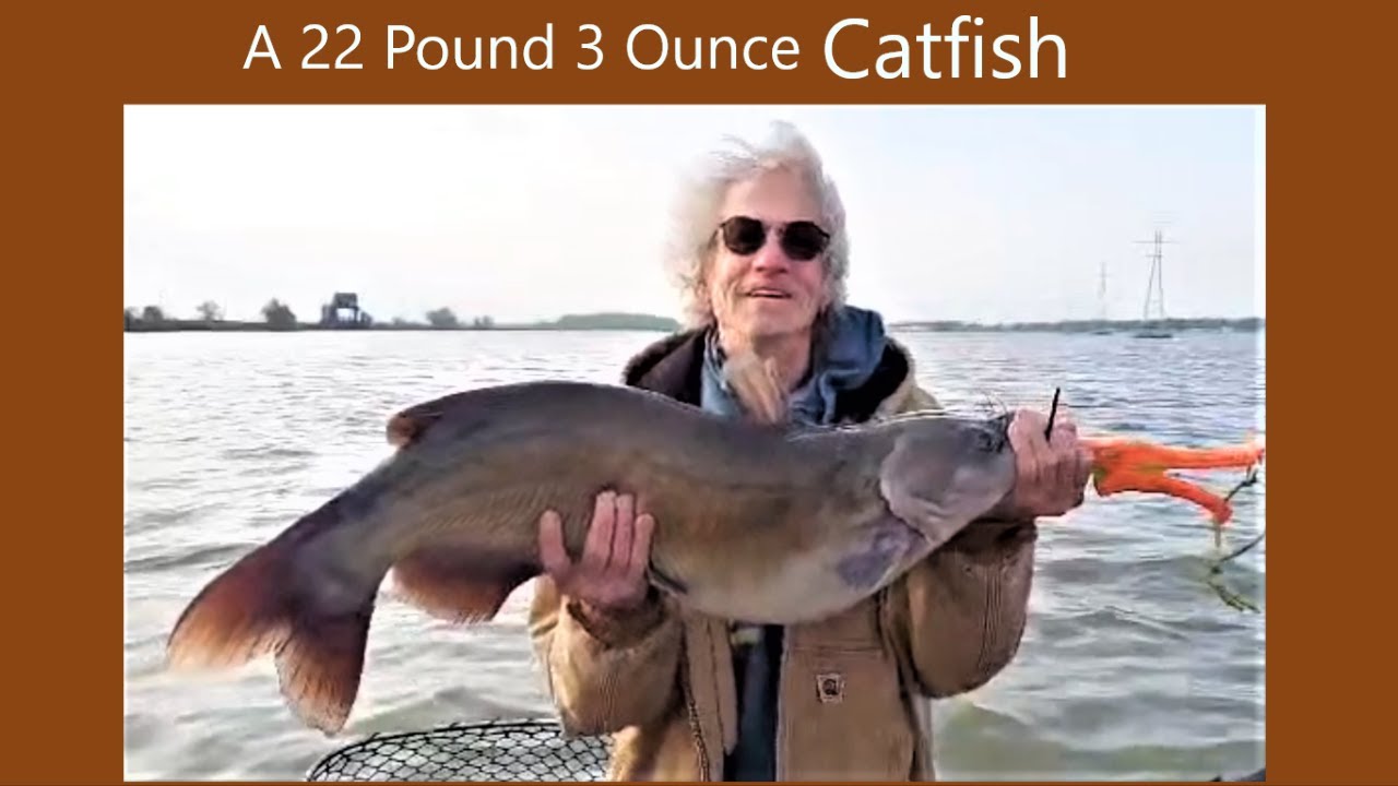 22 pounds 3 ounces ~ our 13th Catfish over 20 pounds so far in May ...