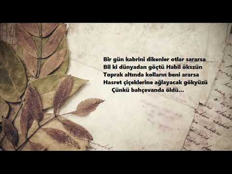 Nergis Çiçeği Habil Özmen Kafkaslı Şiiri