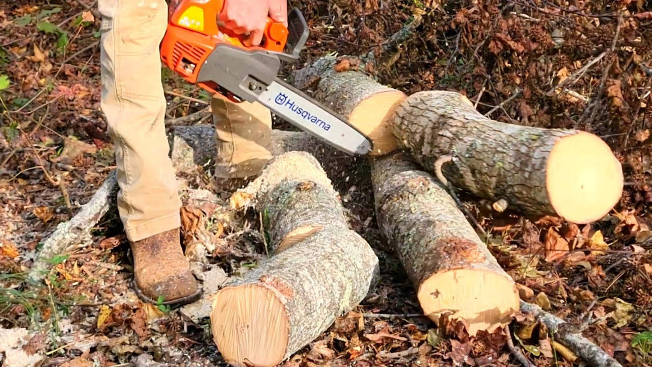 cutting up a tree on the ground - YouTube
