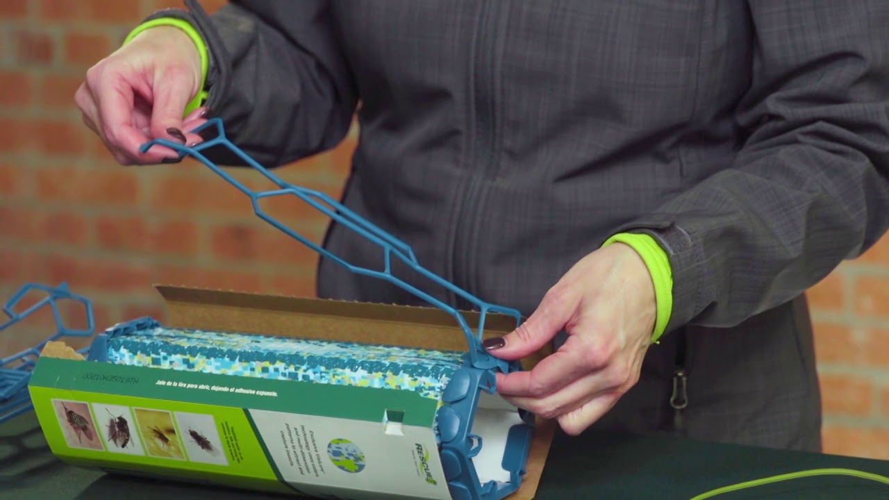 How to use the RESCUE! Deck & Patio FLY TrapStik® - YouTube