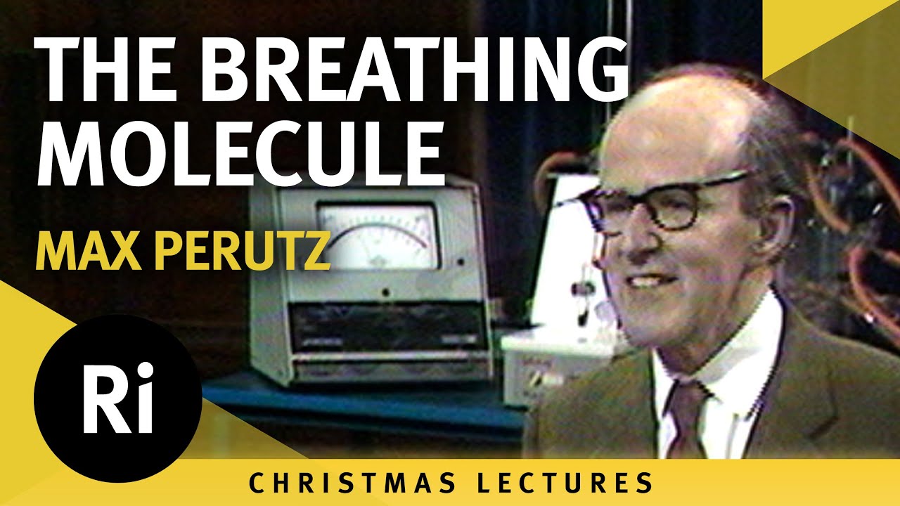 Haemoglobin: the breathing molecule with Max Perutz - David Phillips ...
