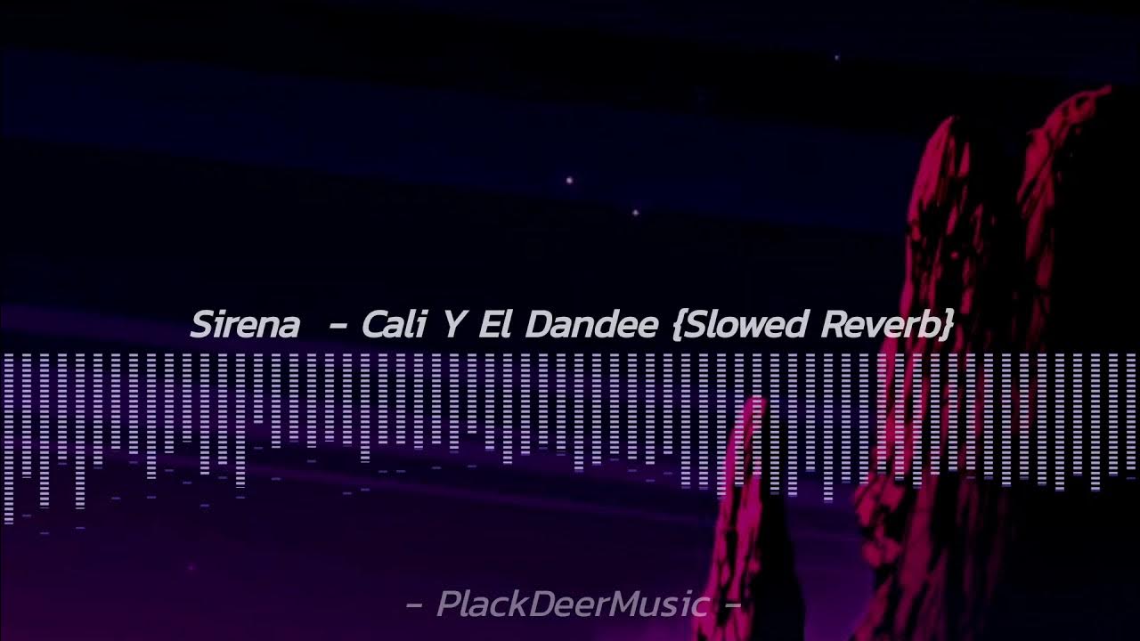Sirena - Cali Y El Dandee {Slowed Reverb} - YouTube