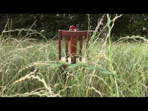 15 sec trailer Behind the Wall Vanessa Anne Redd