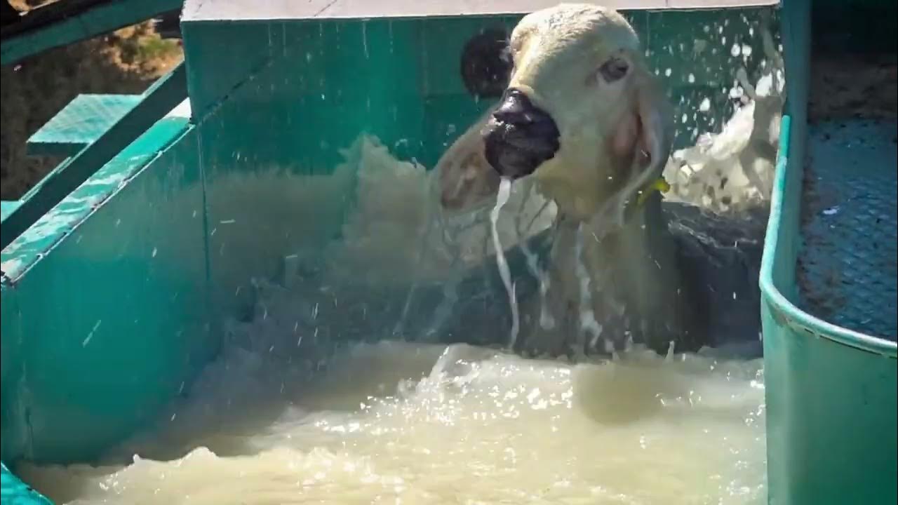 TARIM MAKİNALARI - YouTube